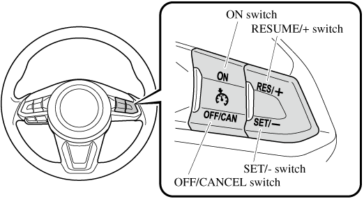 Cruise Control Switch