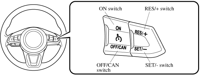 Cruise Control Switch