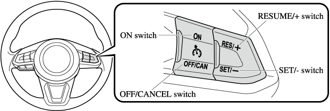 Cruise Control Switch