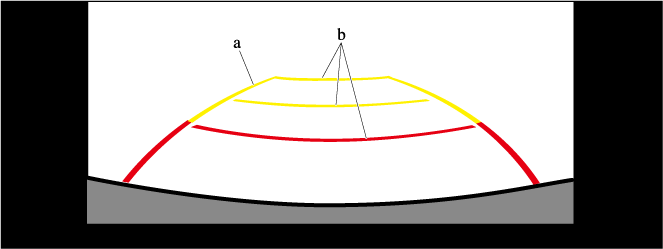 Vehicle width guide lines