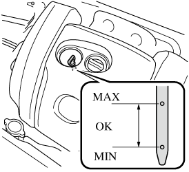 Pull it out again and examine the level.