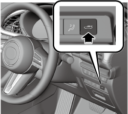 Using the electric trunk lid opener (Some Models)