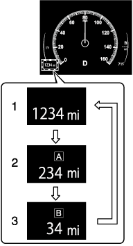 Odometer display